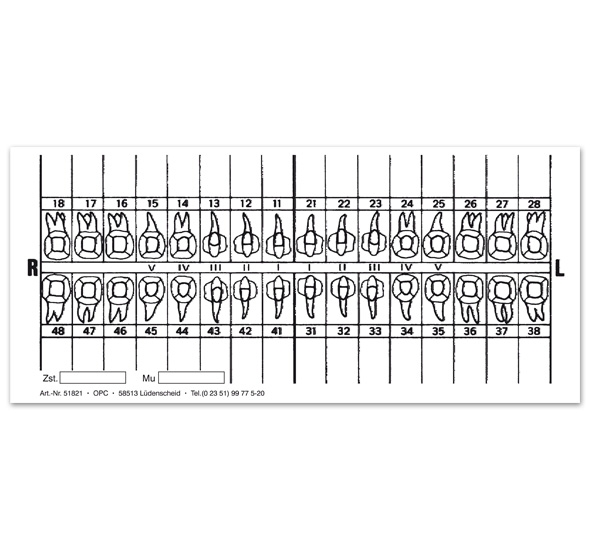 Zahnschema Art. 51821