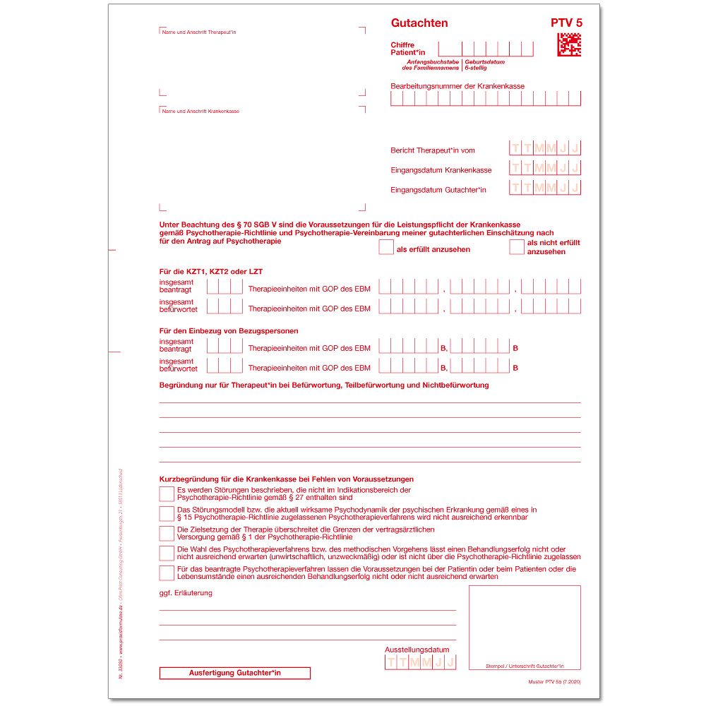 Muster PTV5 Gutachten
