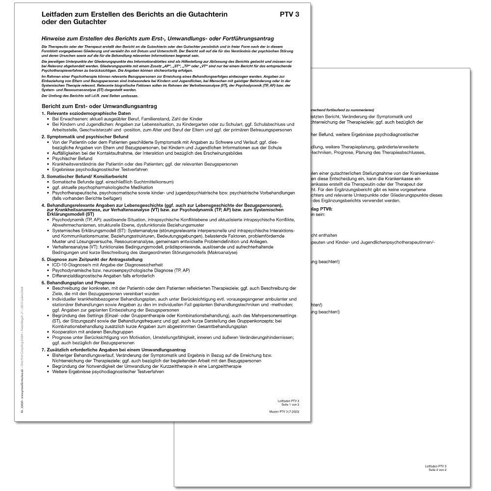 Muster PTV3 Leitfaden