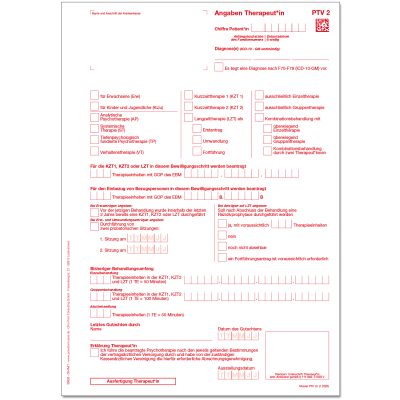 Muster PTV2 Angaben Therapeut*in