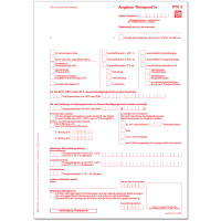 Muster PTV2 Angaben Therapeut*in