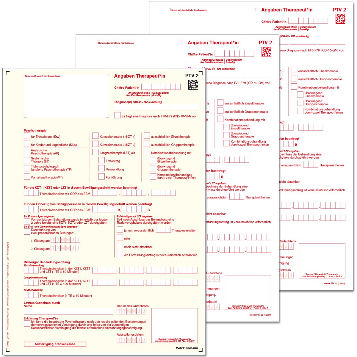 Muster PTV2 Angaben Therapeut*in